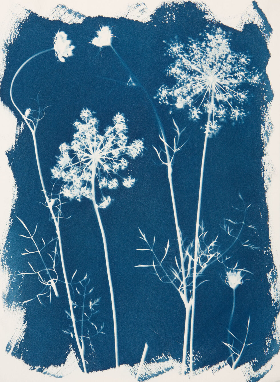 Printing in Blue Workshop | Saturday, August 10 | Color | Ink Studio