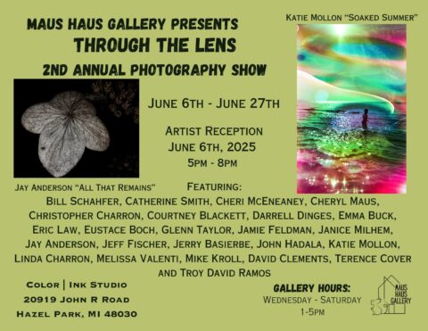 "Through the Lens" 2nd Annual Photography Show | Color | Ink Studio
