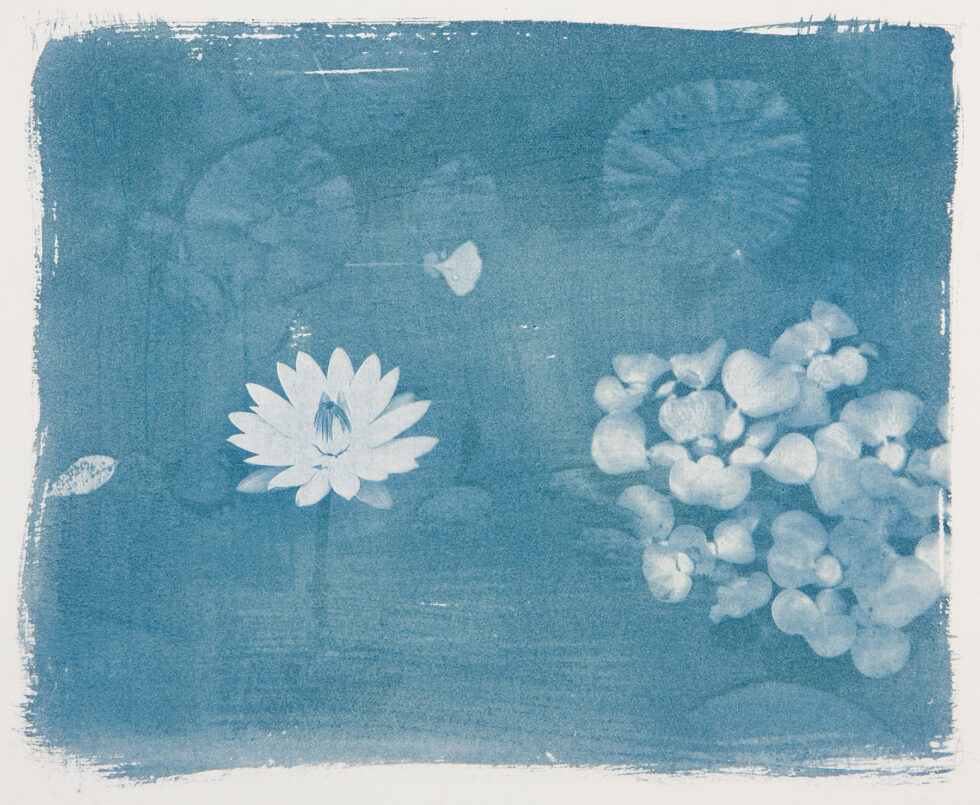 Cyanotypes Workshop | Saturday, June 21 | Color | Ink Studio